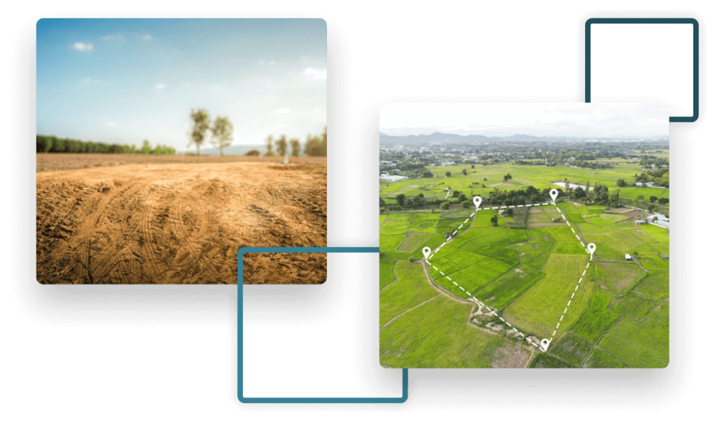 Bluefield Land – Land is at the heart of everything we do